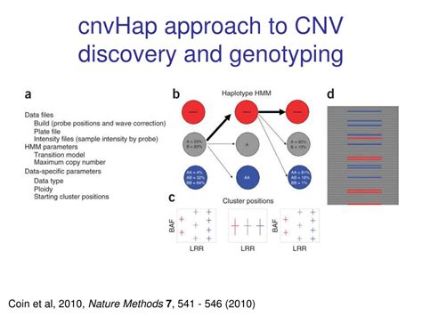 Ppt Population Approaches To Detecting And Genotyping Copy Number