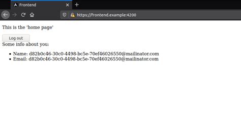 setting up an auth0 secured angular application with