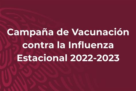Avance Sectorial En La Campaña De Vacunación Contra La Influenza