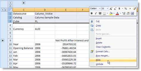 hiding rows and columns calumo documentation