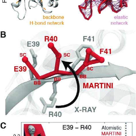 Pip2 Binding To The Ph Domain Of Plc δ1 In Scfix Martini Simulations