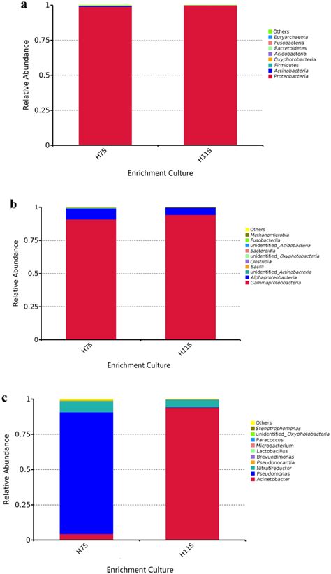 Bacterial Community Structure At Different Levels A Phylum Level B