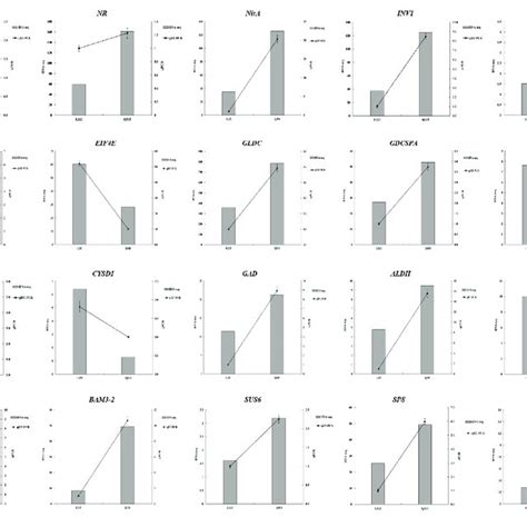 Qpcr Analysis Conducted To Validate The Chosen Gene Expression