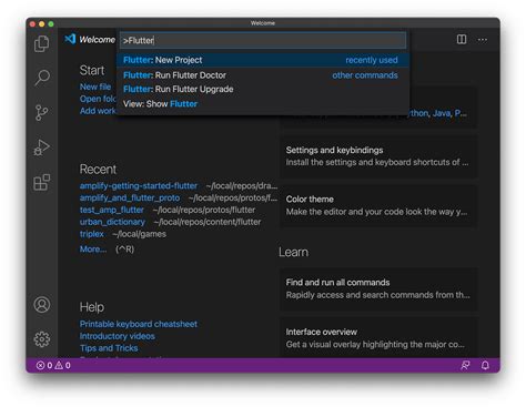 모듈 1 aws에서 flutter 애플리케이션 구축