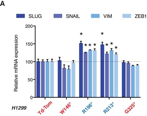 Tp53 Exon 6 Truncating Mutations Produce Separation Of Function