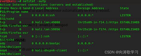 linux如何查看端口是否开放？