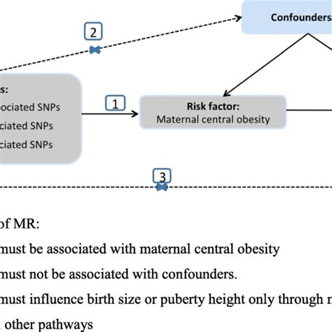 Schematic Representation Of A Mendelian Randomization Analysis