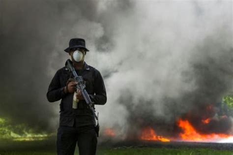 Impulsada Por Colombia Producción De Cocaína Marcó Récord Mundial En