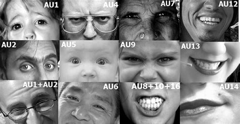 Action Units · Tadasbaltrusaitis Openface Wiki · Github