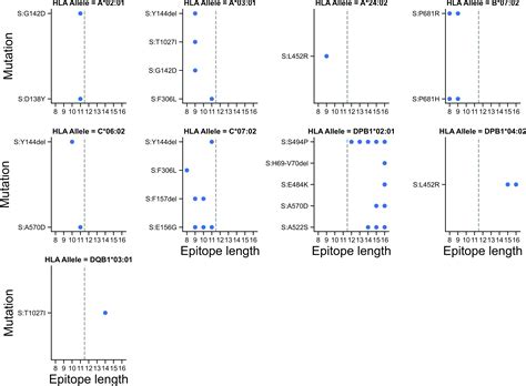Analysis Of Sars Cov 2 Mutations In The Context Of Epitope Affinity For
