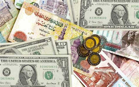 استقرار أسعار صرف الدولار مقابل الجنيه المصري بداية التعاملات معلومات