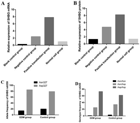 effect of placental sex hormone binding globulin single nucleotide