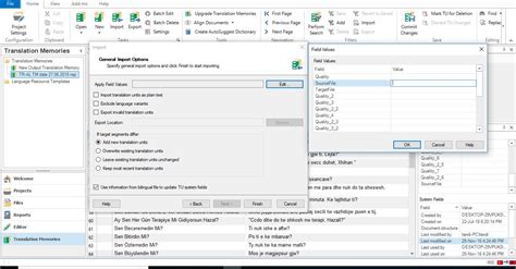 import tmx file with existing custom field values source file 2