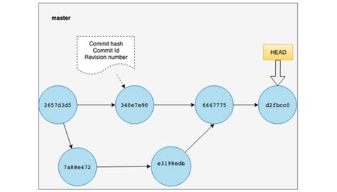 introduction to git how git works shift asia software qa hot sex picture