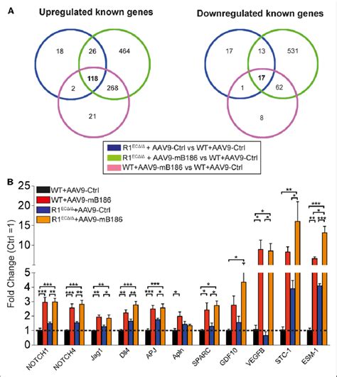 Transcriptomic Profiling Of Vegfr1 Deleted Or Aav9 Vegfb 186