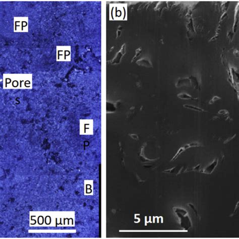 A Optical Image Of Gilsocarbon Graphite Microstructure Showing Filler