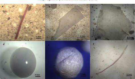 Figure 2 From Microplastics In Surface Waters And Sediments Of The