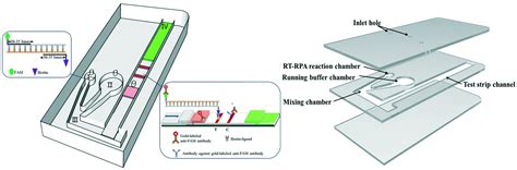 Biosensors Free Full Text Microfluidic Device Based Virus Detection