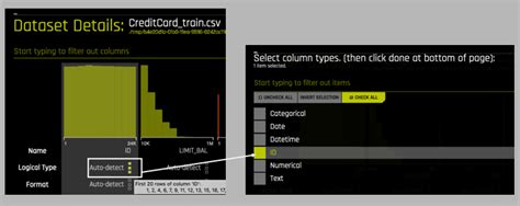dataset details — using driverless ai 1 8 10 documentation