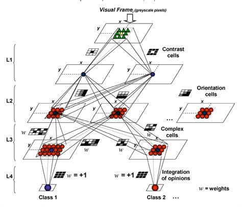 Figure 2 From Evolving Spiking Neural Networks For Audiovisual