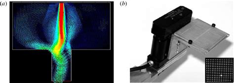 A Instantaneous Snapshot From A Time Resolved Laminar Flow Simulation