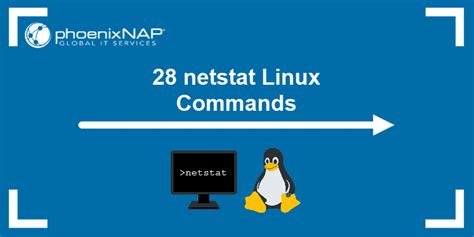 28 netstat commands {a comprehensive list with examples}