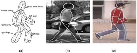 Model Based Approaches For Gait Feature Extraction A Karaulova