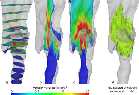 Visualization Of The Temporal Variance Of The Velocity Field For Case