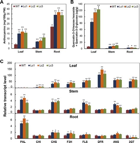 Quantification Of Anthocyanins And Flavonols And Transcription Levels