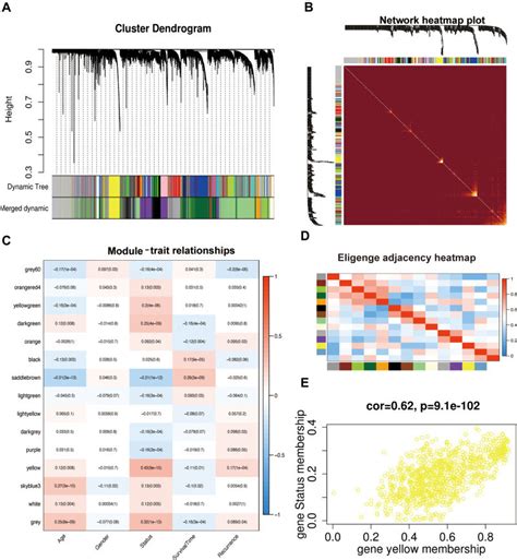Wgcna Of Degs A Wgcna Dendrogram Indicating The Expression Of
