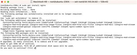 how to install nginx on ubuntu 23 04 devtutorial