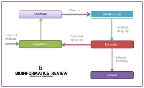 genetic algorithm explanation and perl code bioinformatics review