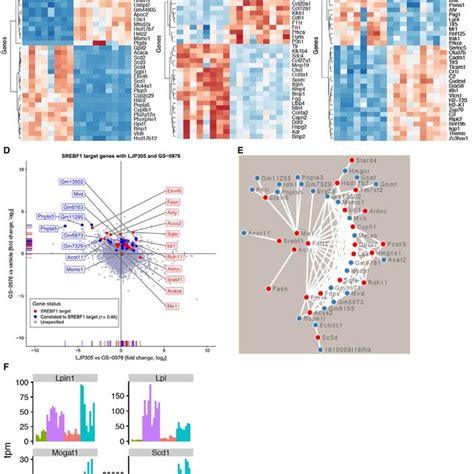 Transcriptomics Analysis Of The Hf Nash Model And Comparison To Human
