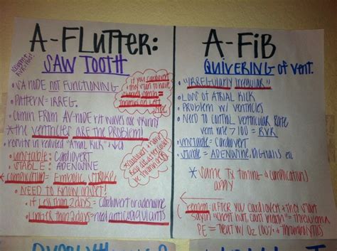 atrial fibrillation atrial fibrillation vs atrial flutter