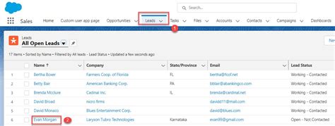 How To Merge Duplicate Leads In Salesforce Salesforce Faqs
