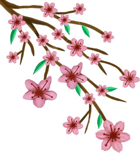 Flor De Flor De Durazno Png Tet Vietnam Vietnamita Tet Png Y Psd