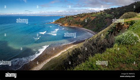 Vivid Southern California Coastal View Of Tall Grass Covered Cliffs Of