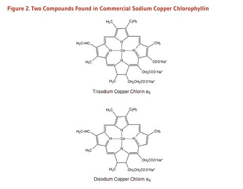 Chlorophyll Structure And Function