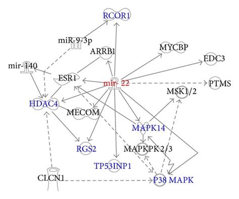 A F Ingenuity Pathway Analysis Based Detection Of Downstream