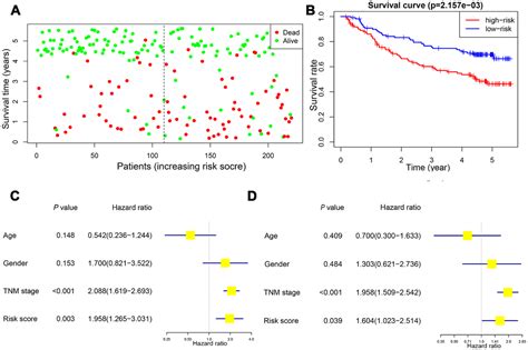 Development And Validation Of A Prognostic Classifier Based On Hif 1