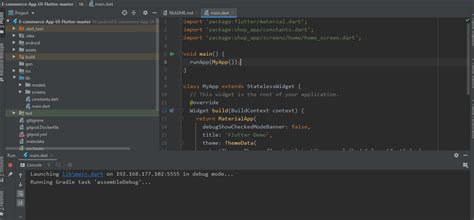 flutter when you start a finished project downloaded