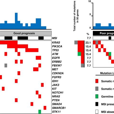 Distribution Of Mutations In The Next Generation Sequencing Analysis