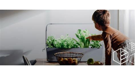 ¿cultivar Tus Propios Alimentos Desde Casa Esto Ya Es Posible Con Tregren