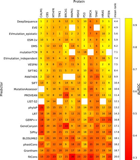 Updated Benchmarking Of Variant Effect Predictors Using Deep Mutational Scanning Molecular