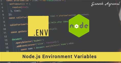 how to use environment variables in node js application