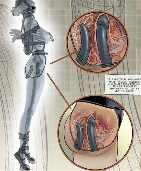 Bondage Drawing Anal Tail Plug Dildo Chastity Belt Macetheace