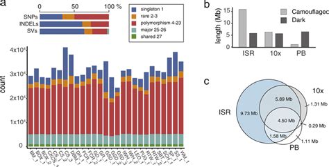 Genome Variation And Dark Camouflaged Regions A Snps Indels And