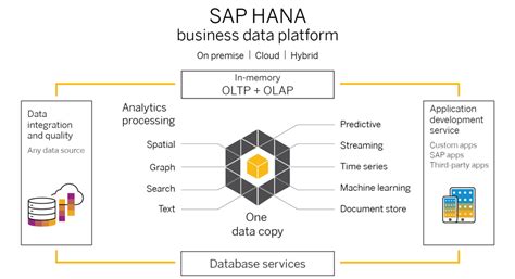 the sap hana revolution sap blogs