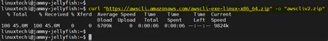 how to install aws cli on linux step by step