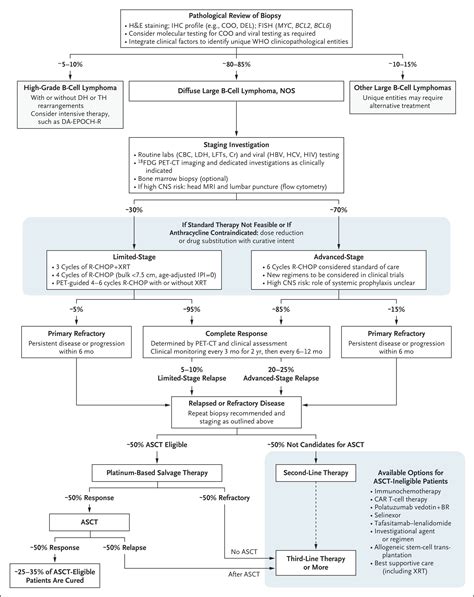 Diffuse Large B Cell Lymphoma Nejm